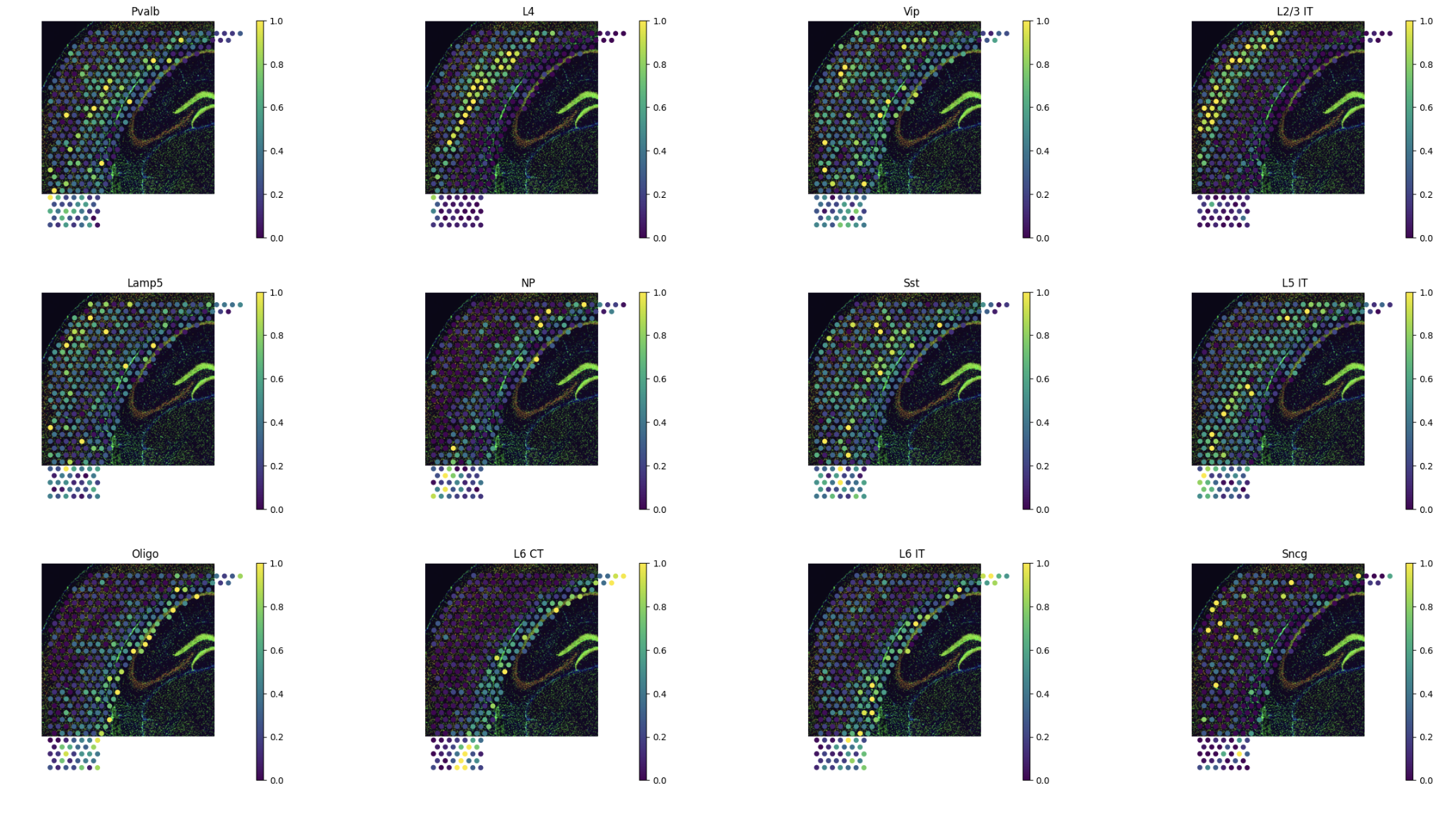 missing areas in plot_cell_annotation_sc · Issue #65 · broadinstitute/Tangram · GitHub