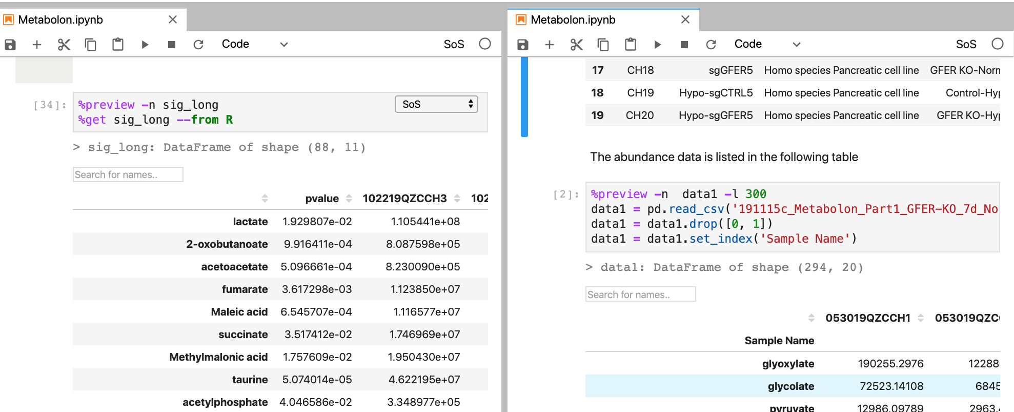 Missing language selector for "new view for notebook" · Issue #48 · vatlab/jupyterlab-sos · GitHub