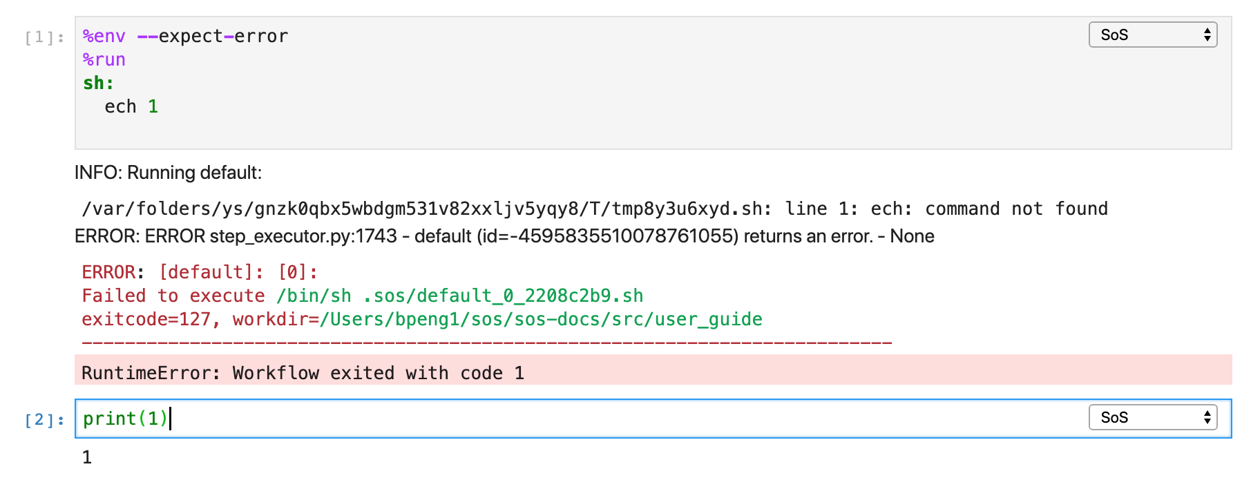 Error from %run does not stop Run all cells. · Issue #280 · vatlab/sos-notebook · GitHub