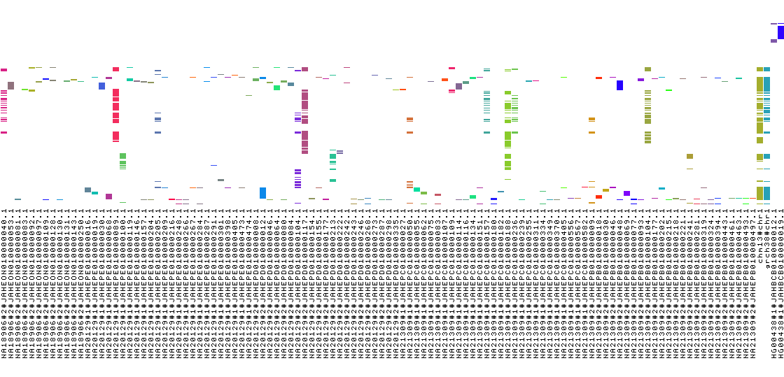 Problem with 1D visualization (viz) · Issue #394 · pangenome/odgi · GitHub