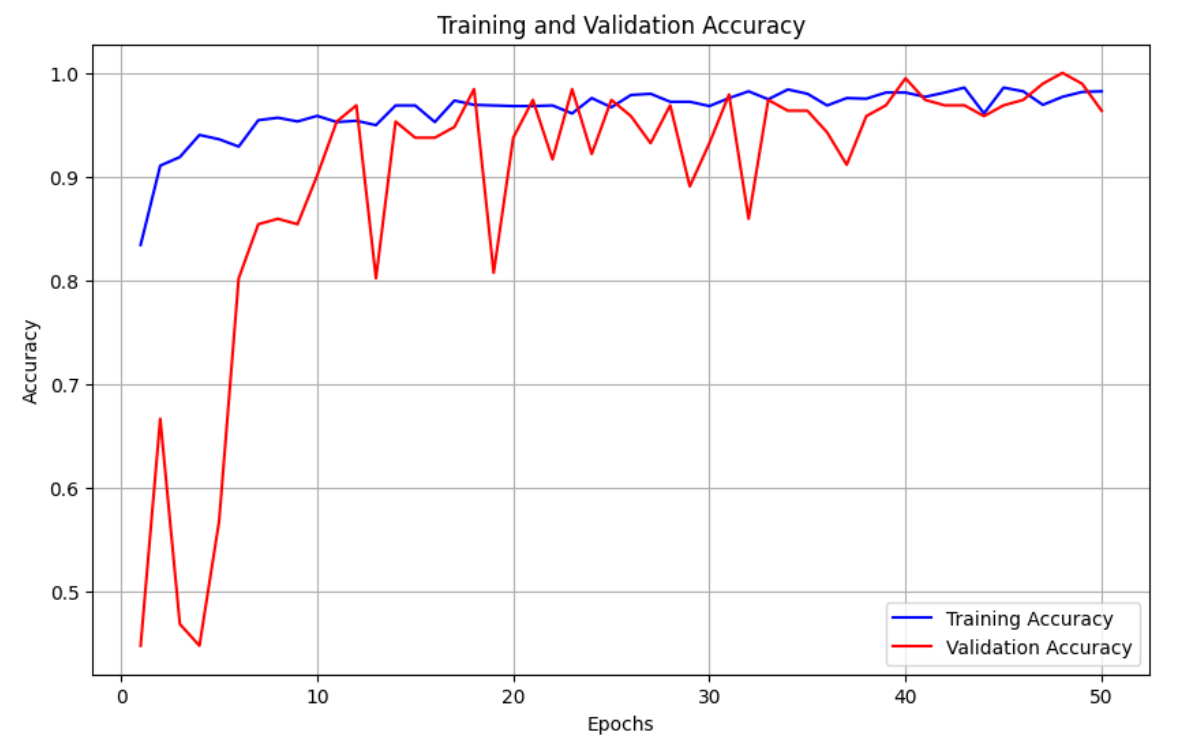 GitHub - m-zeeshanHaider/Potato-Disease-Classification-using-DenseNet: A dense convolutional ...