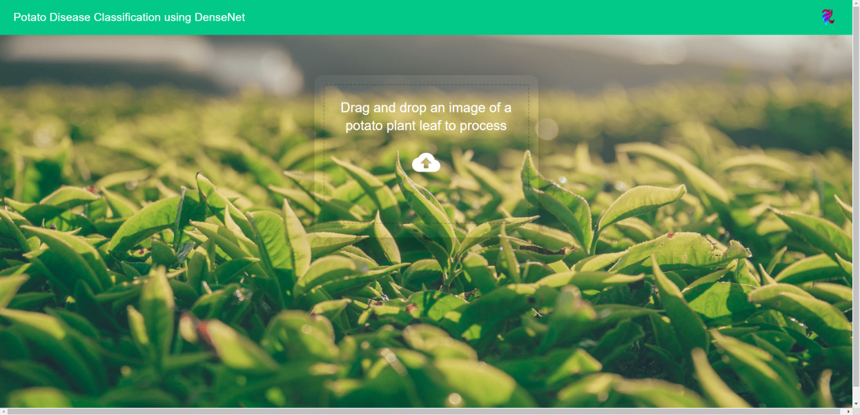 GitHub - m-zeeshanHaider/Potato-Disease-Classification-using-DenseNet: A dense convolutional ...