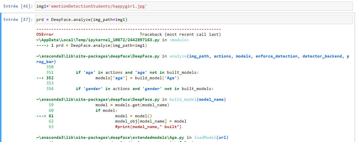 os error jupyter deepface · Issue #459 · serengil/deepface · GitHub