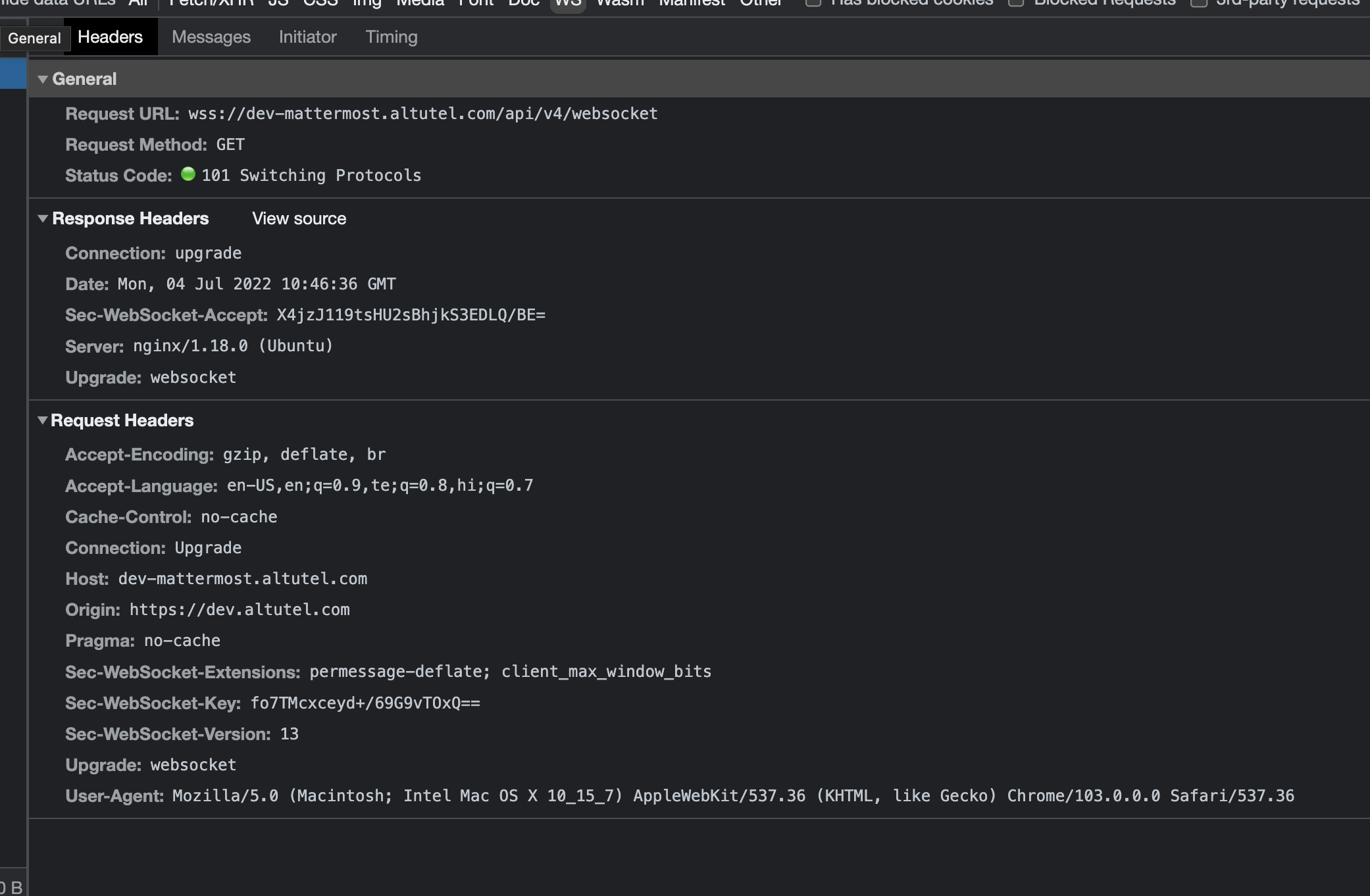 Websockets Not Connecting In Local Machine While Developing · Issue 20083 · Mattermost