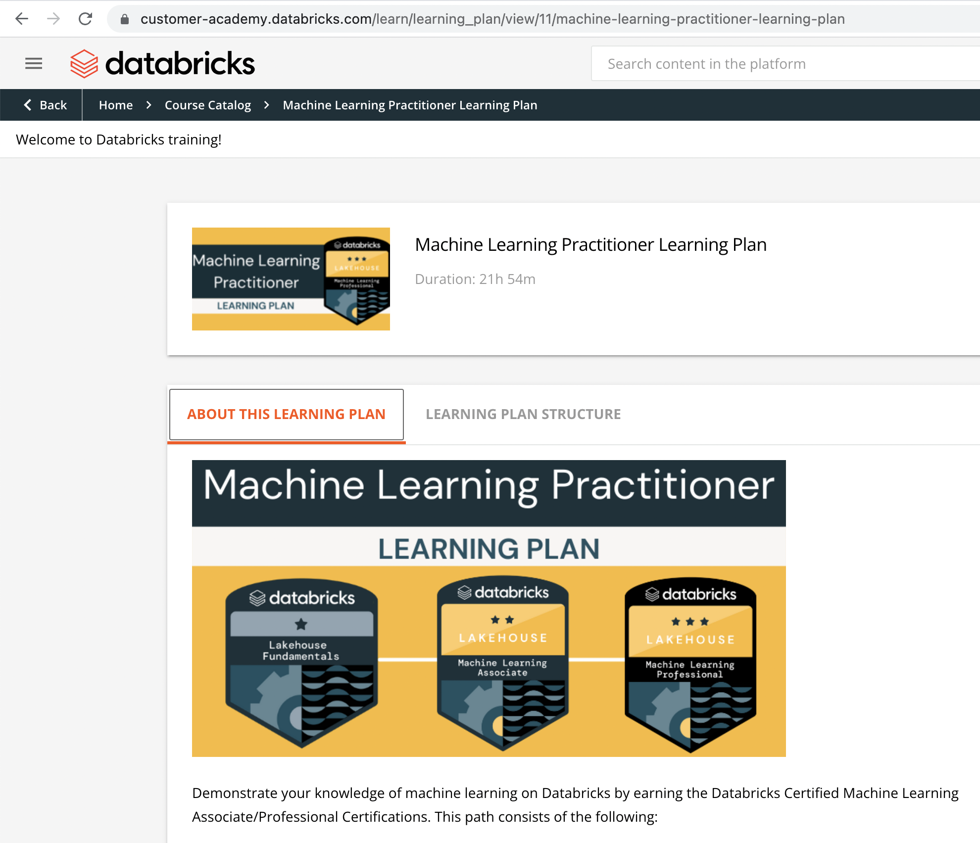 persona switcher · Issue #57 · databricks/delta-live-tables-notebooks ...