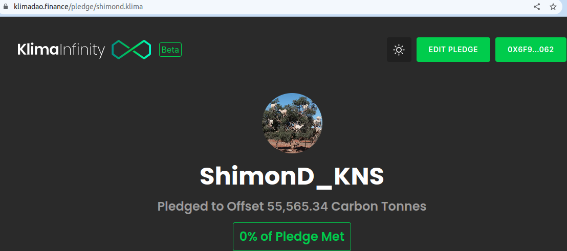 Pledge Dashboard Touchups and Feedback · Issue #489 · KlimaDAO/klimadao · GitHub