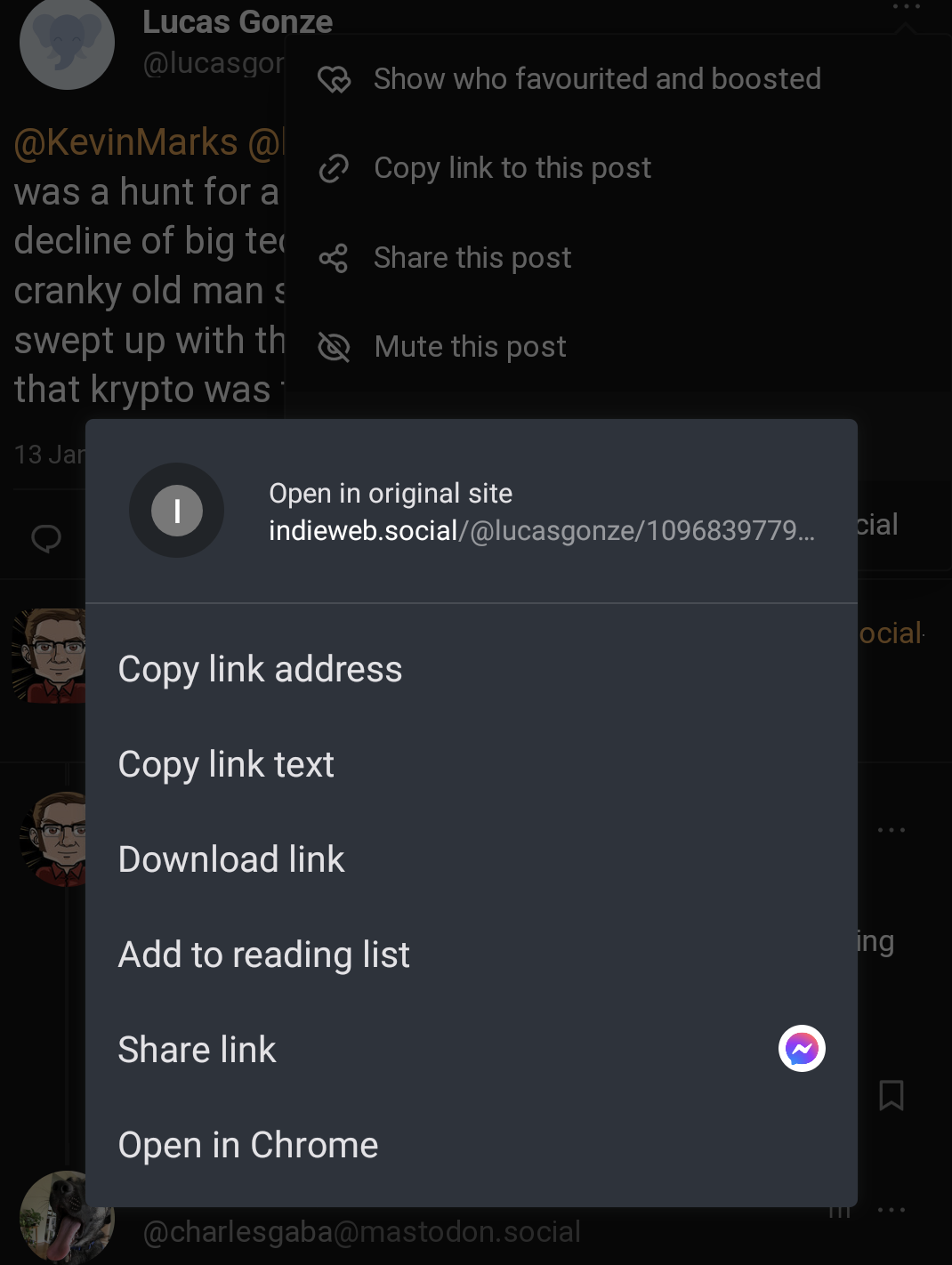 Copying the link to a post has an elk.zone domain, or a doubly-wrapped domain · Issue #1064 ...