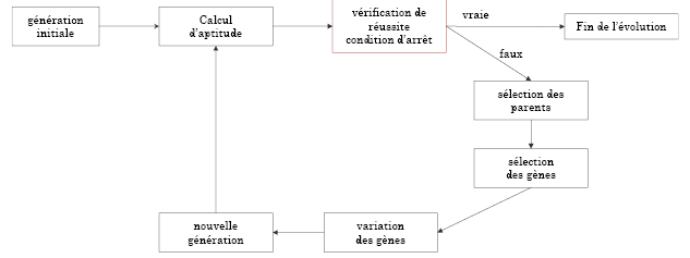 GitHub - laura-nesta/Creatures: Algorithme génétique
