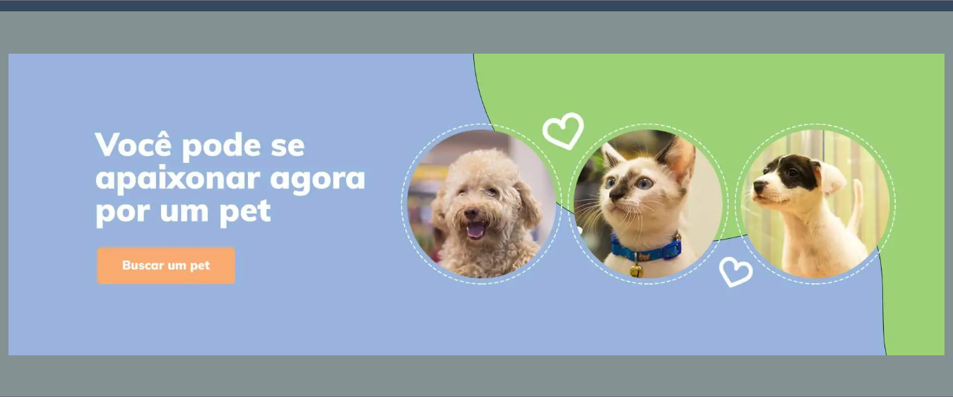 GitHub - DiSantoss/Mini-Projeto-Adote-Aqui: um breve projeto do curso Resilia ! a ideia é fazer ...