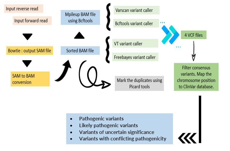 GitHub - pup98/Pathogenic-Genomic-Variant-Detection-Project