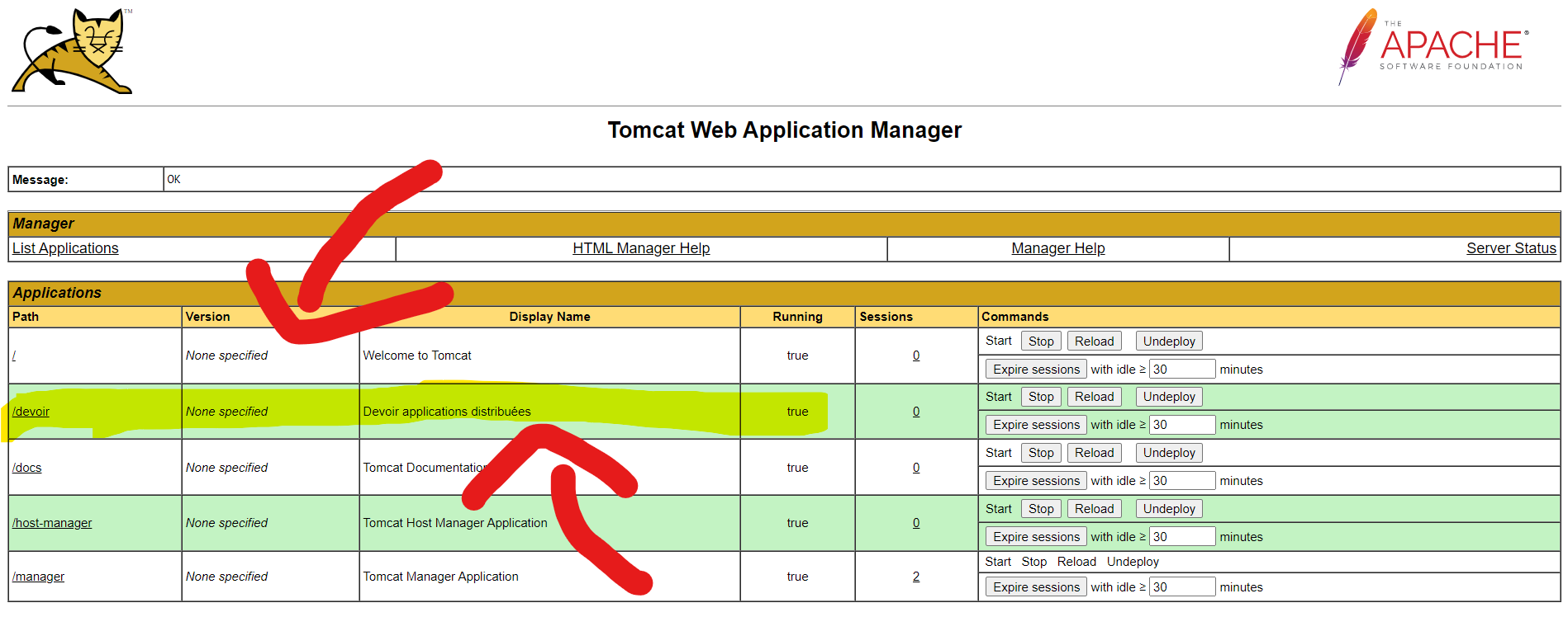 GitHub - ray-o-vac/devServlet