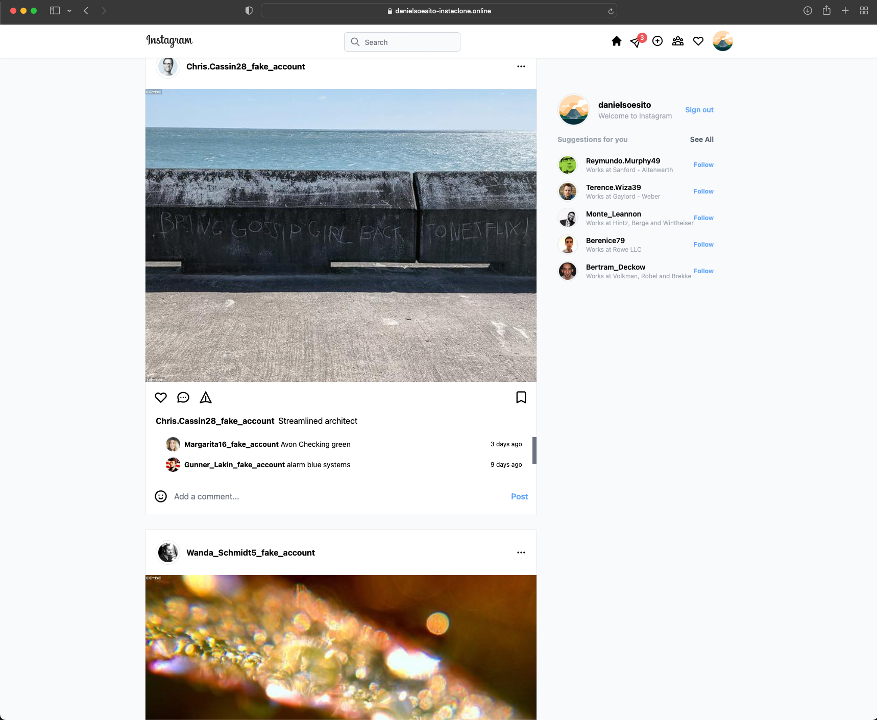 GitHub - Dsoesito/instaclone