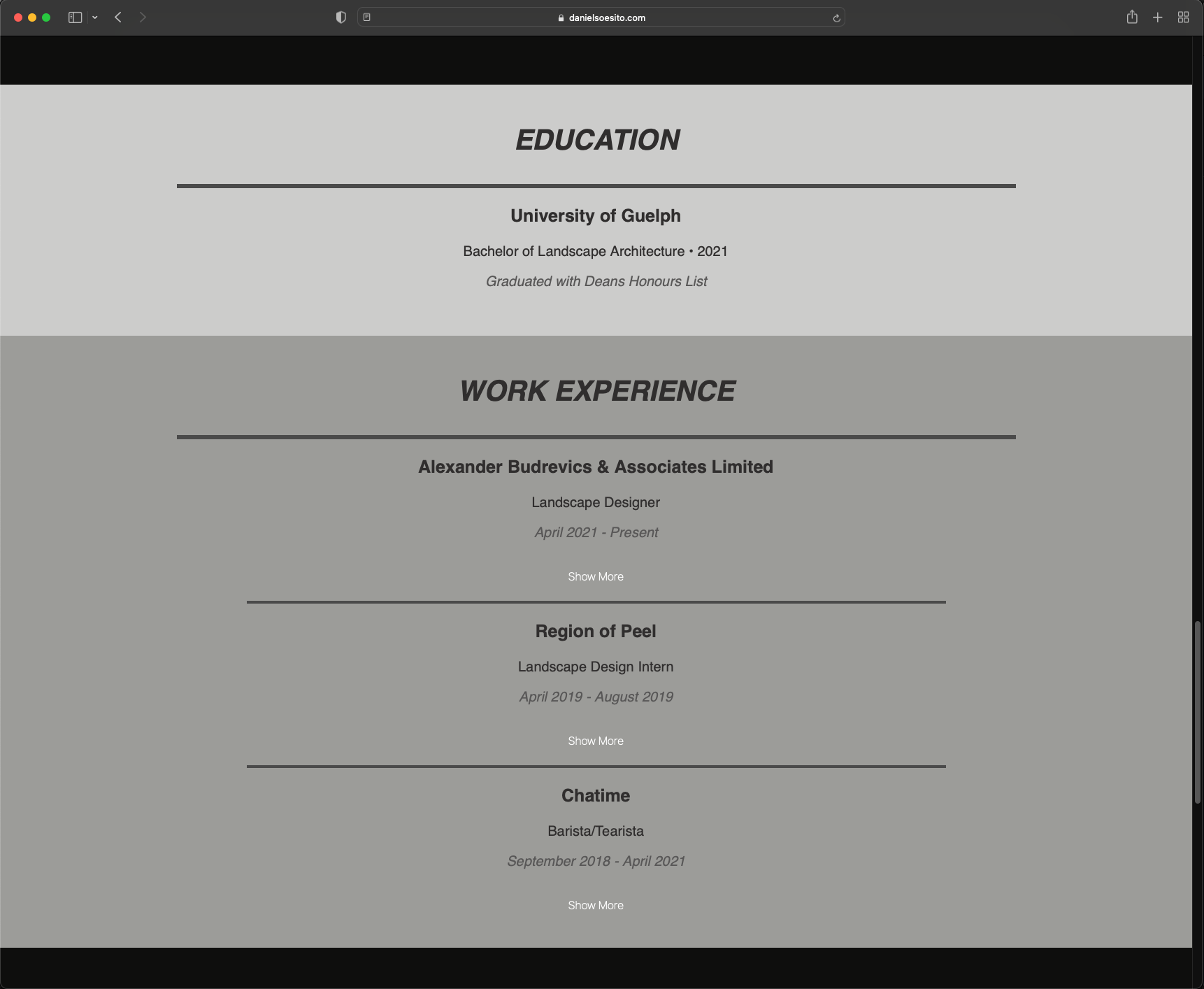 GitHub - Dsoesito/portfolio-website
