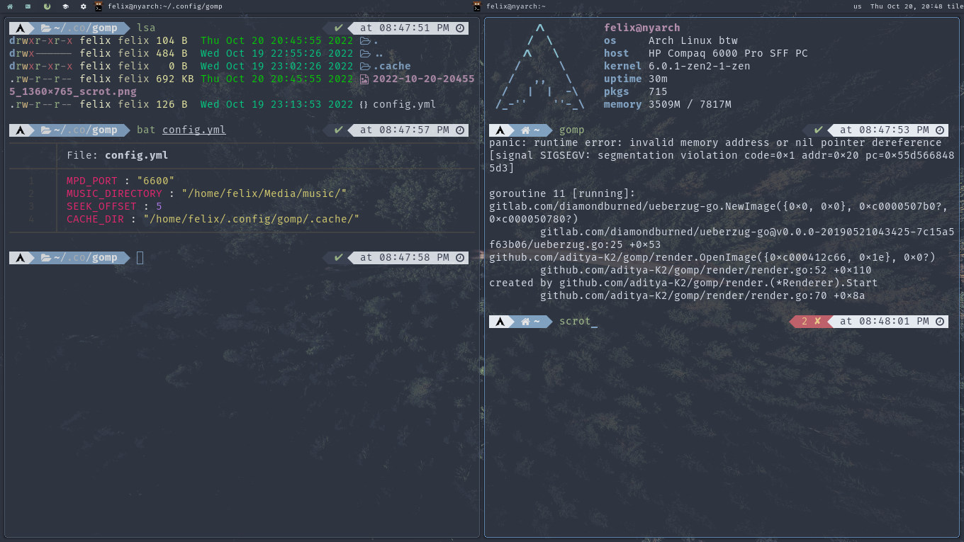 gomp panic: invalid memory address · Issue #33 · aditya-K2/gomp · GitHub