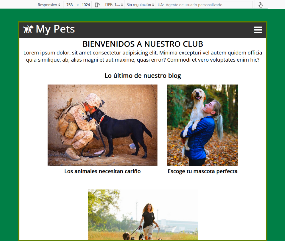 GitHub - RodolfoMorquecho/ResponsiveWebSite: Sitio web responsivo sobre mascotas, haciendo ...