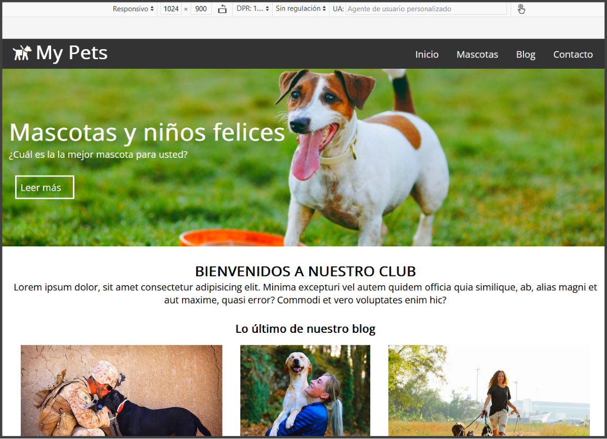 GitHub - RodolfoMorquecho/ResponsiveWebSite: Sitio web responsivo sobre mascotas, haciendo ...