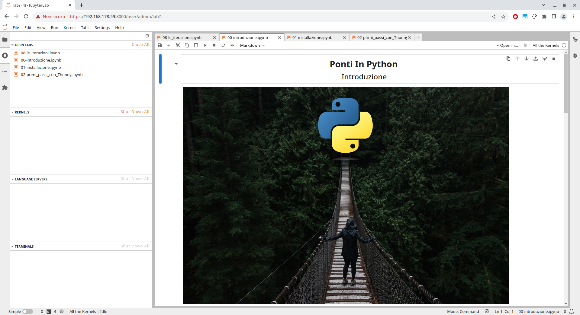 Running Kernels Not Listed In The Kernels Panel · Issue 14962 · Jupyterlab Jupyterlab · Github