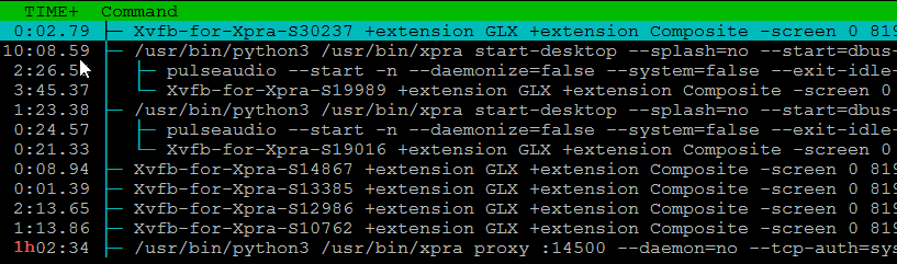 Xvfb-for-Xpra-S* process remaining after disconnection · Issue #3395 · Xpra-org/xpra · GitHub