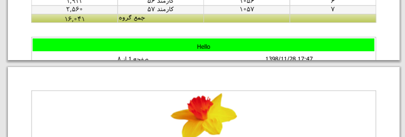 Problem with using colspan in HtmlHeaderPdfReport · Issue #42 · VahidN/PdfReport.Core · GitHub