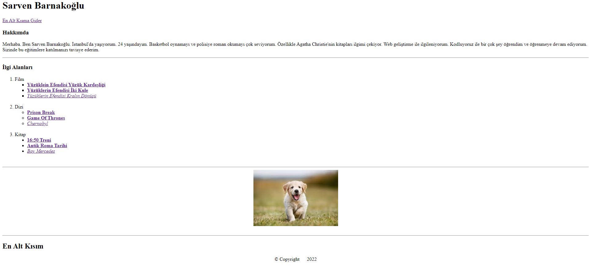 GitHub - SarvenBrnk/HTML_TASKS