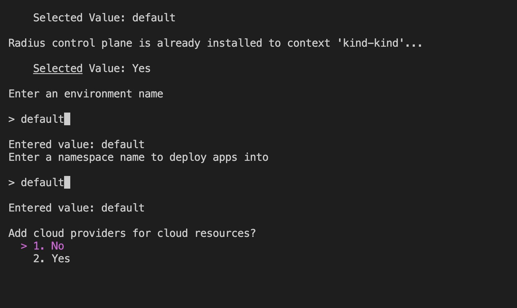 `rad init` has some oddities with prompts · Issue #4796 · radius-project/radius · GitHub