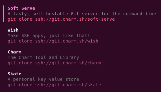choose & filter to support display of multiple lines per item · Issue #226 · charmbracelet/gum ...