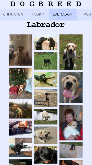 GitHub - NatanBreaks/dog-breed