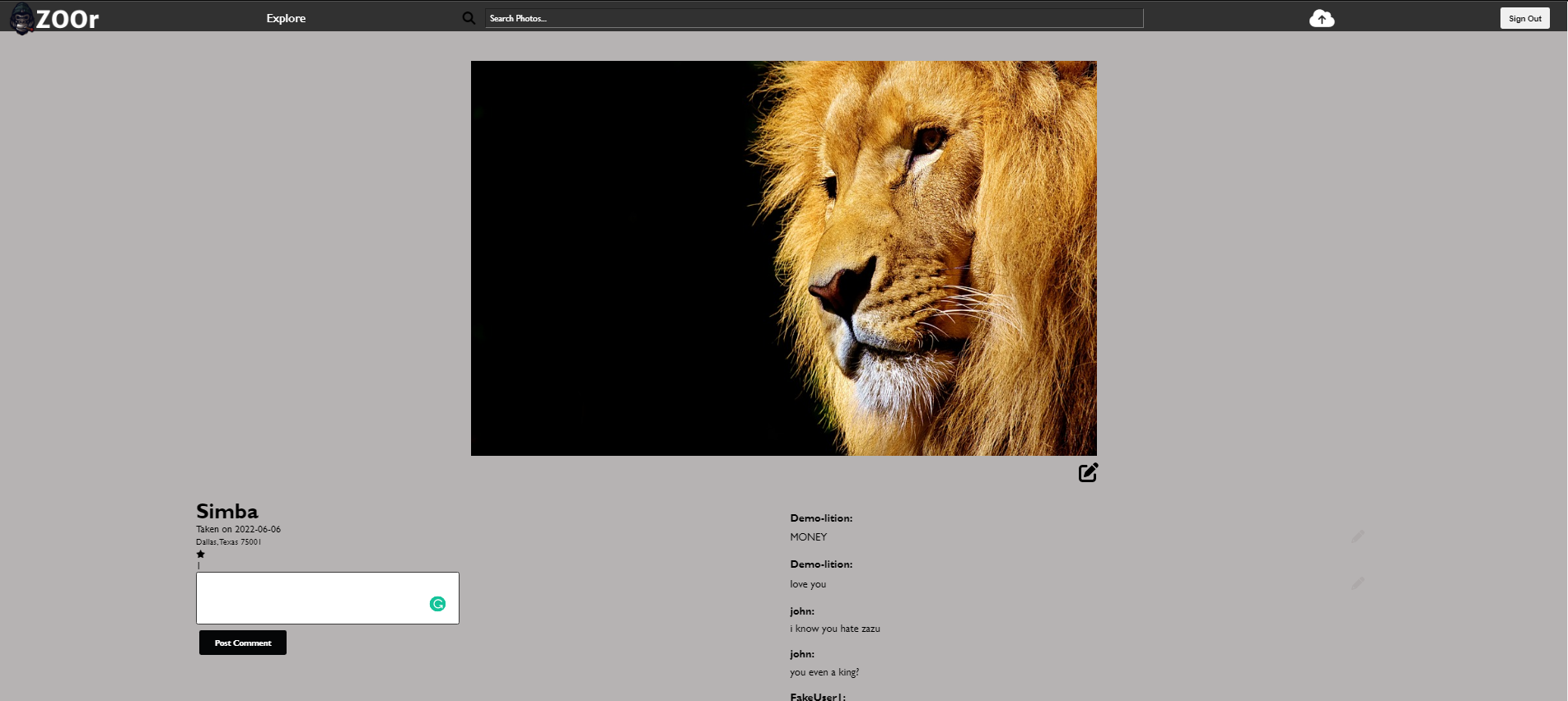 GitHub - elisaia55/ZOOr