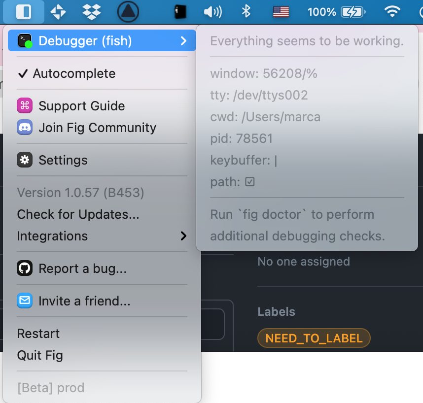 fig settings shows blank screen until manually selecting 'Settings' in the sidebar · Issue #1537 ...