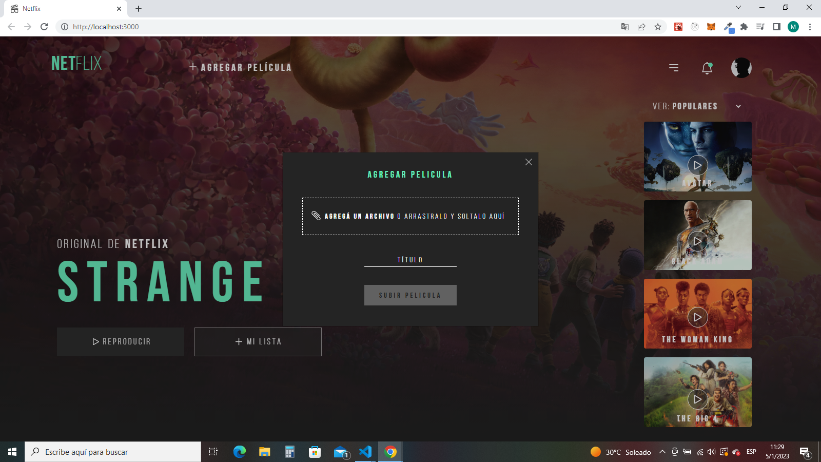 GitHub - mschmidt17/Netflix