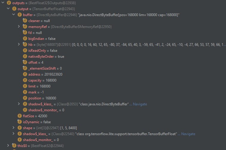 How I can get data output from model when I use it in android app, writing on kotle in tflite ...