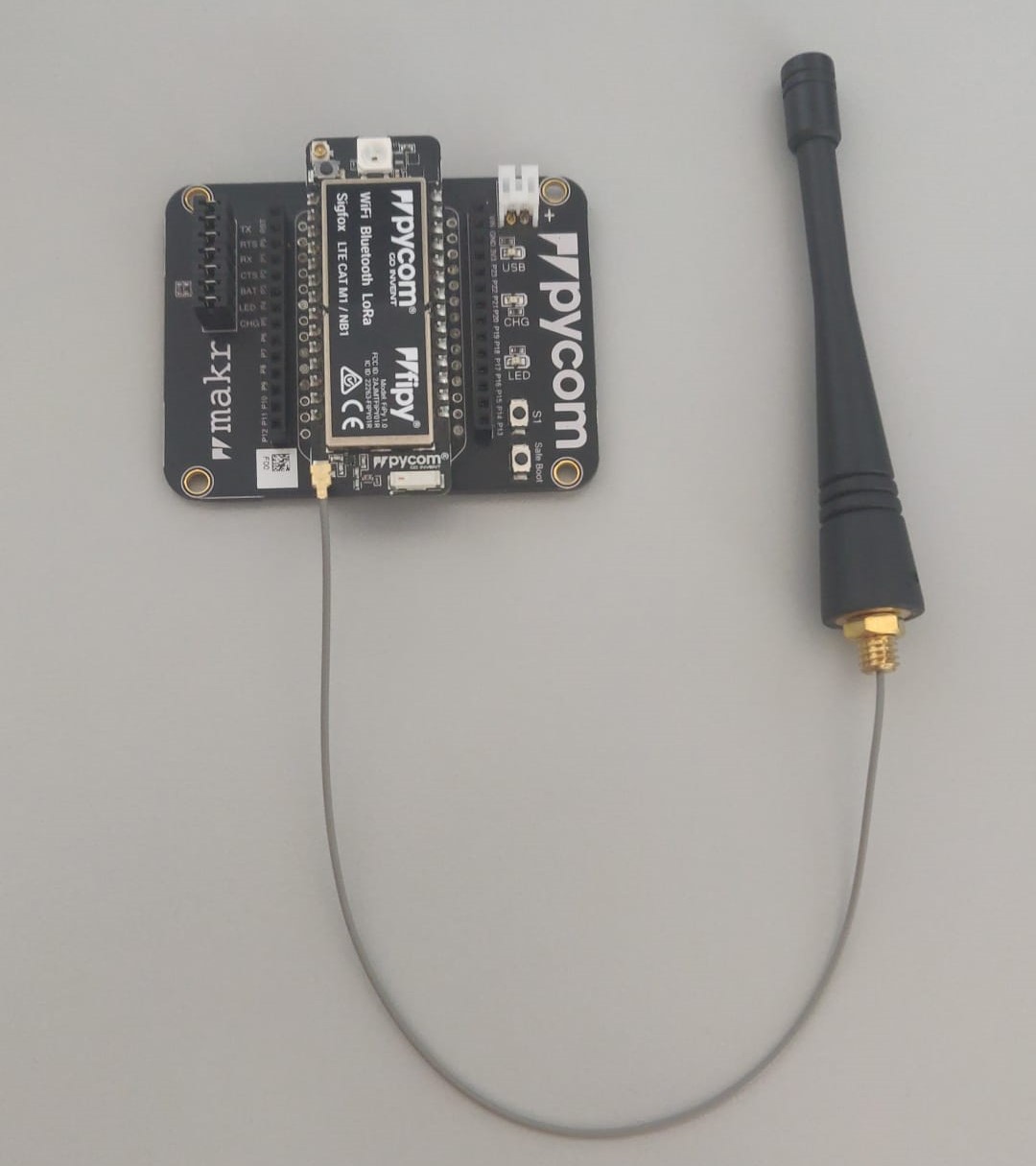 GitHub - dapecas/Fipy-Fipy-Communication-via-LoRa: Code needed to create communication between ...