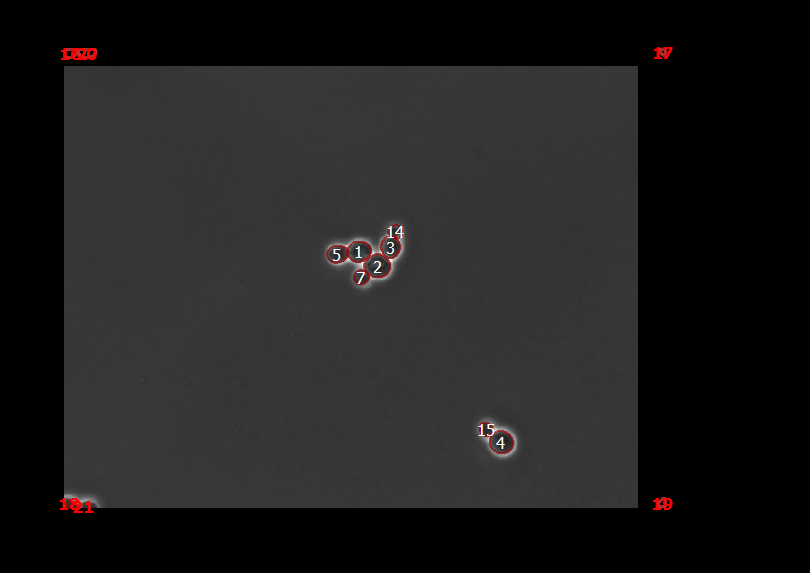 Problem erasing segmentation masks at edge of frame · Issue #25 ...