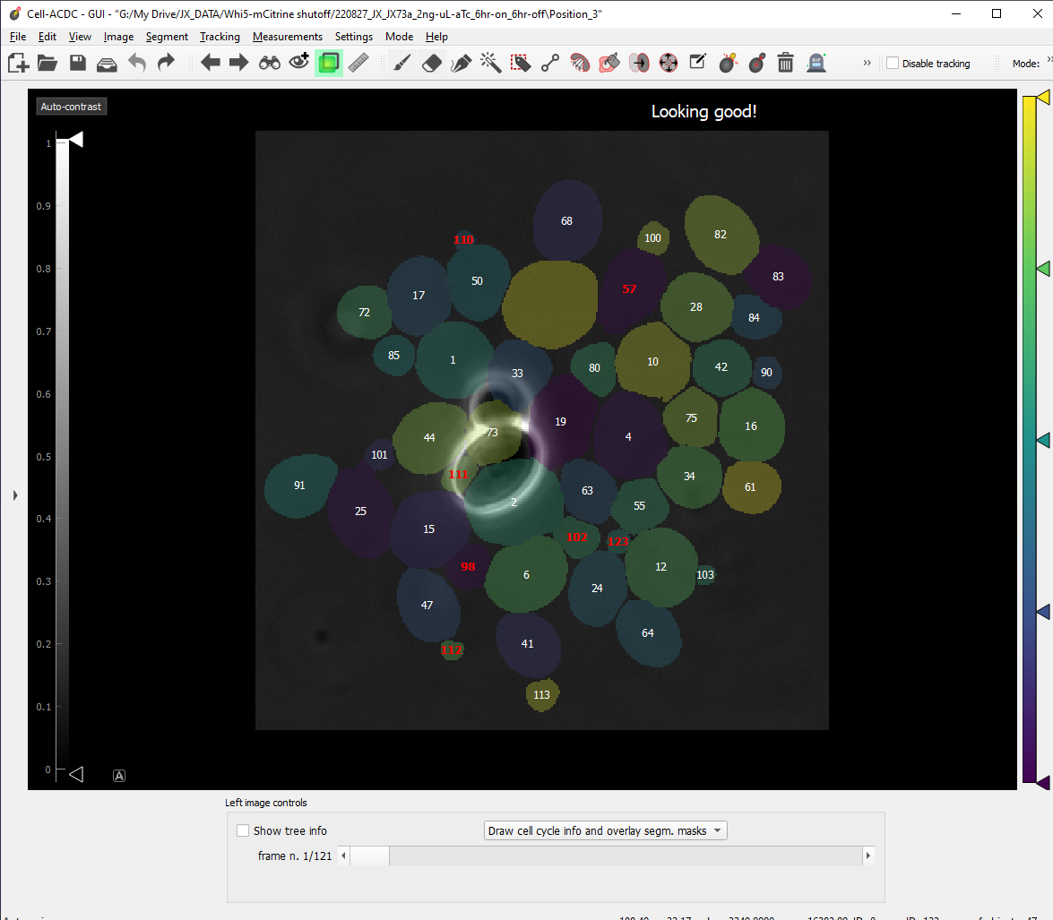 Scroll bar sometimes scrambles masks · Issue #149 · SchmollerLab/Cell_ACDC · GitHub