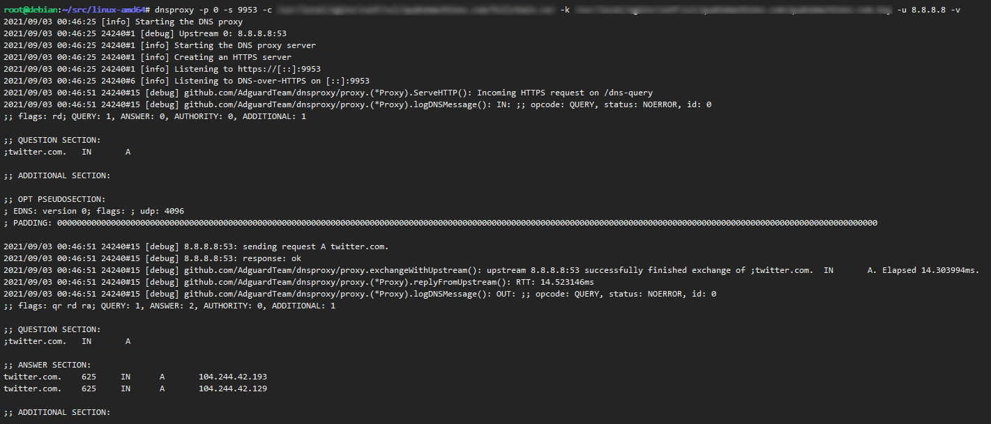如何使用dnsproxy的doh反代理 · Issue #155 · AdguardTeam/dnsproxy · GitHub