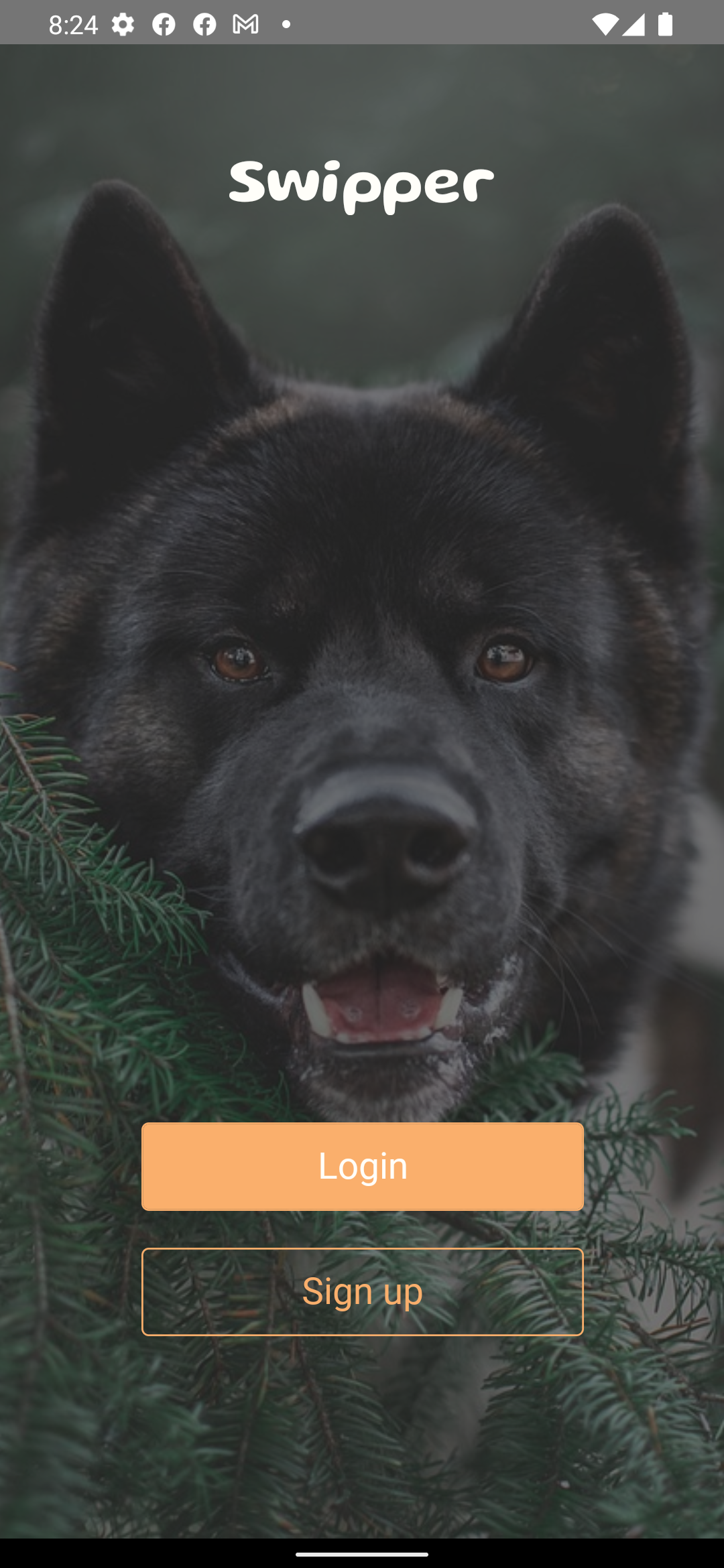 Swipper_frontend/README.md at dev · JoneMus/Swipper_frontend · GitHub