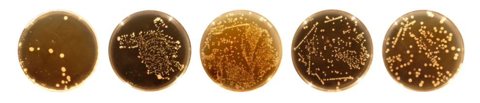 GitHub - zeenaali/plotly_deploy