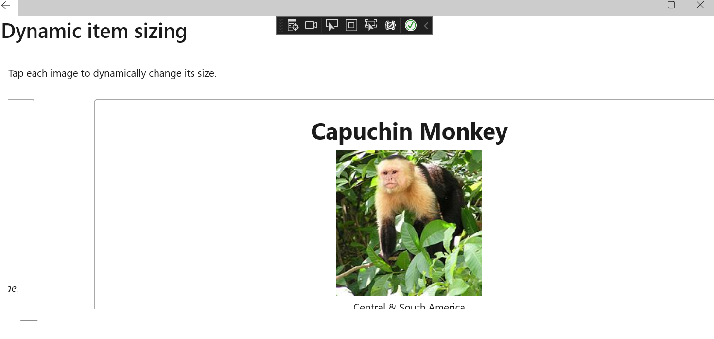 [Windows] [Scenario Day] Dynamic sizing CollectionView items not working · Issue #7146 · dotnet ...