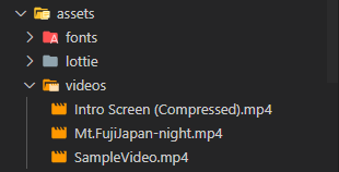 Video_Player unable to play the asset video, Video Player error · Issue #99745 · flutter/flutter ...