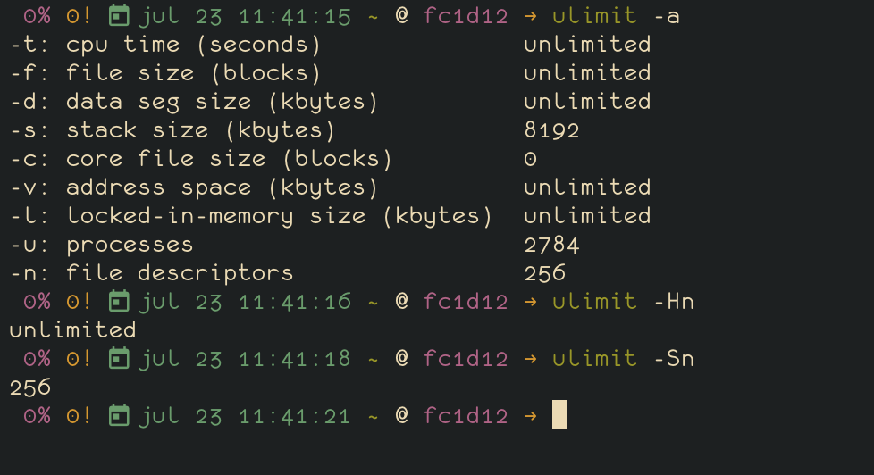 OSx - Can't run on 127.0.0.1 without any option · Issue #21 · bee-san/RustScan · GitHub