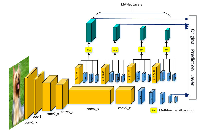 GitHub - Kirouane-Ayoub/SSD_TF-OD_API