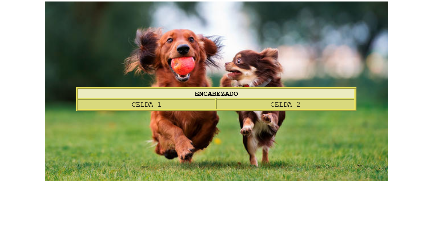 GitHub - JoneJoana/UD29_HTMLCSS_tablasDIv