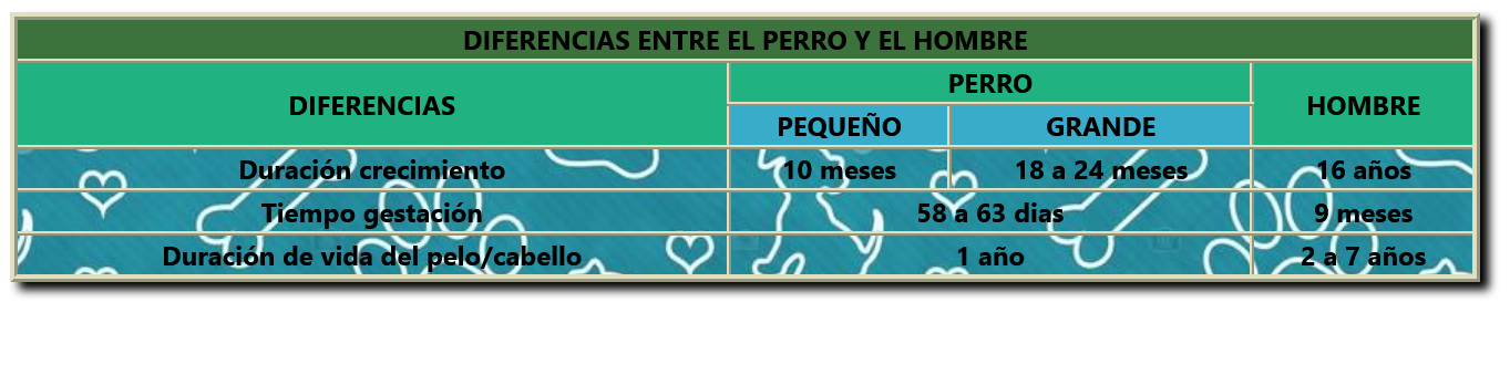 GitHub - JoneJoana/UD29_HTMLCSS_tablasDIv