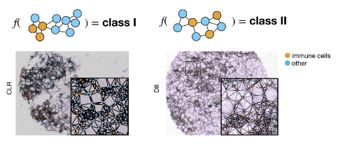 GitHub - theislab/tissue
