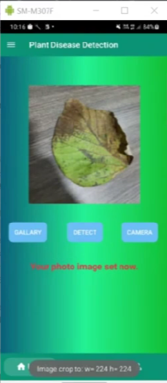 GitHub - kanthikiran006/Tomato-Plant-Leaf-Disease-Prediction