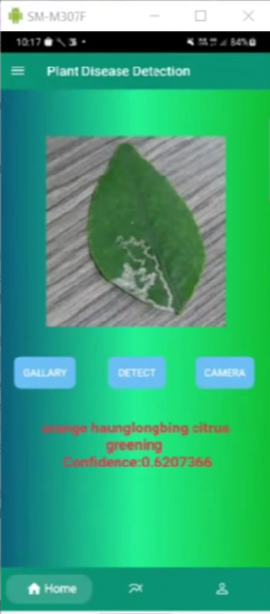 GitHub - kanthikiran006/Tomato-Plant-Leaf-Disease-Prediction