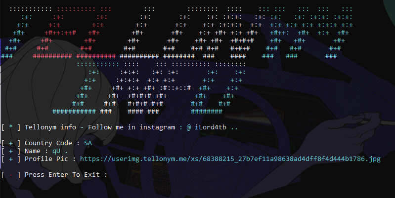 GitHub - 511j/tellonym-info