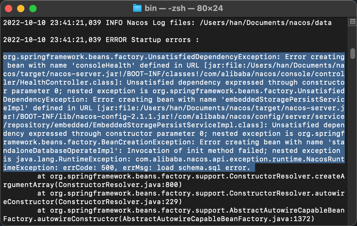 nacos启动时报错 · Issue #9292 · alibaba/nacos · GitHub
