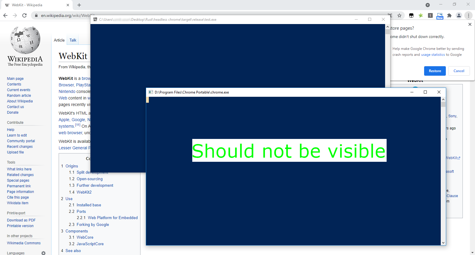 chrome process window is visible · Issue #333 · rust-headless-chrome/rust-headless-chrome · GitHub