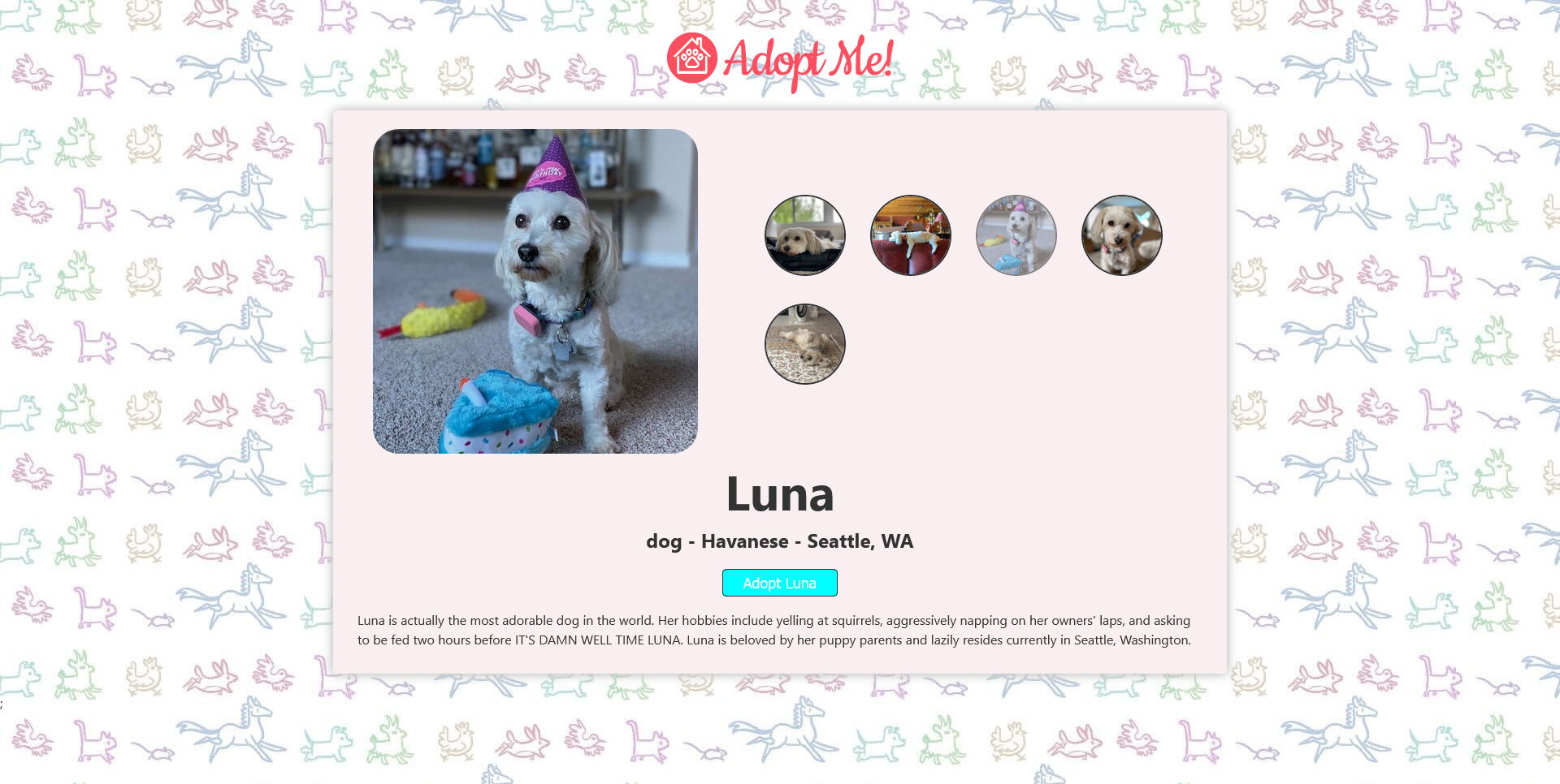 GitHub - mkdrx/adopt-me-app: Adopt pets app - based on Frontend Masters' Course by Brian Holt